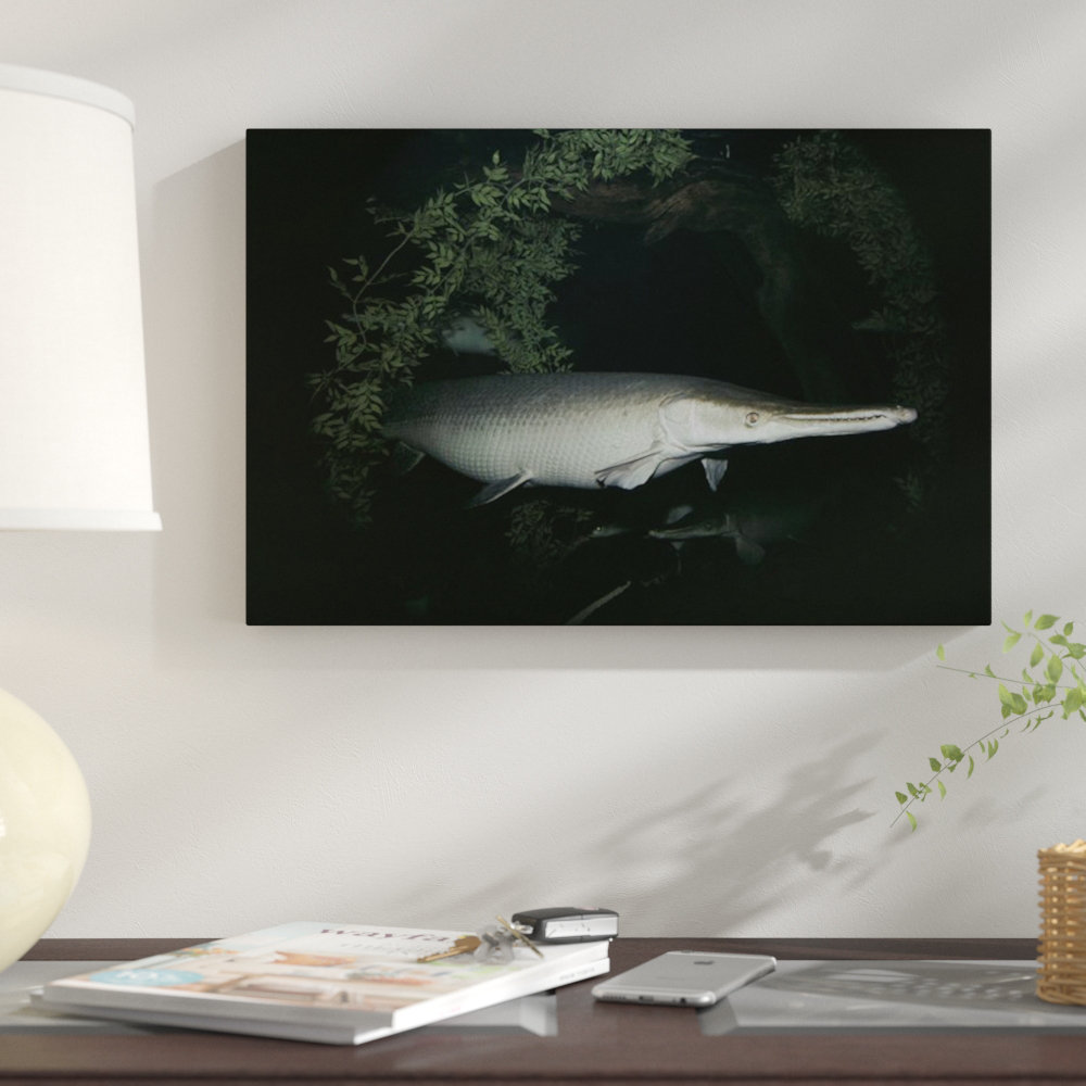 East Urban Home 'Alligator Gar' Graphic Art Print | Wayfair