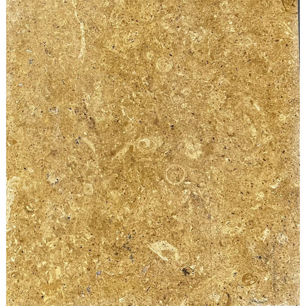 Tileville 12" x 12" Inca Gold Marble Stone Look Wall & Floor Tile | Wayfair