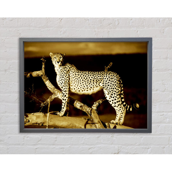 Bloomsbury Market Leopard Perch Sepia - Single Picture Frame Art Prints ...