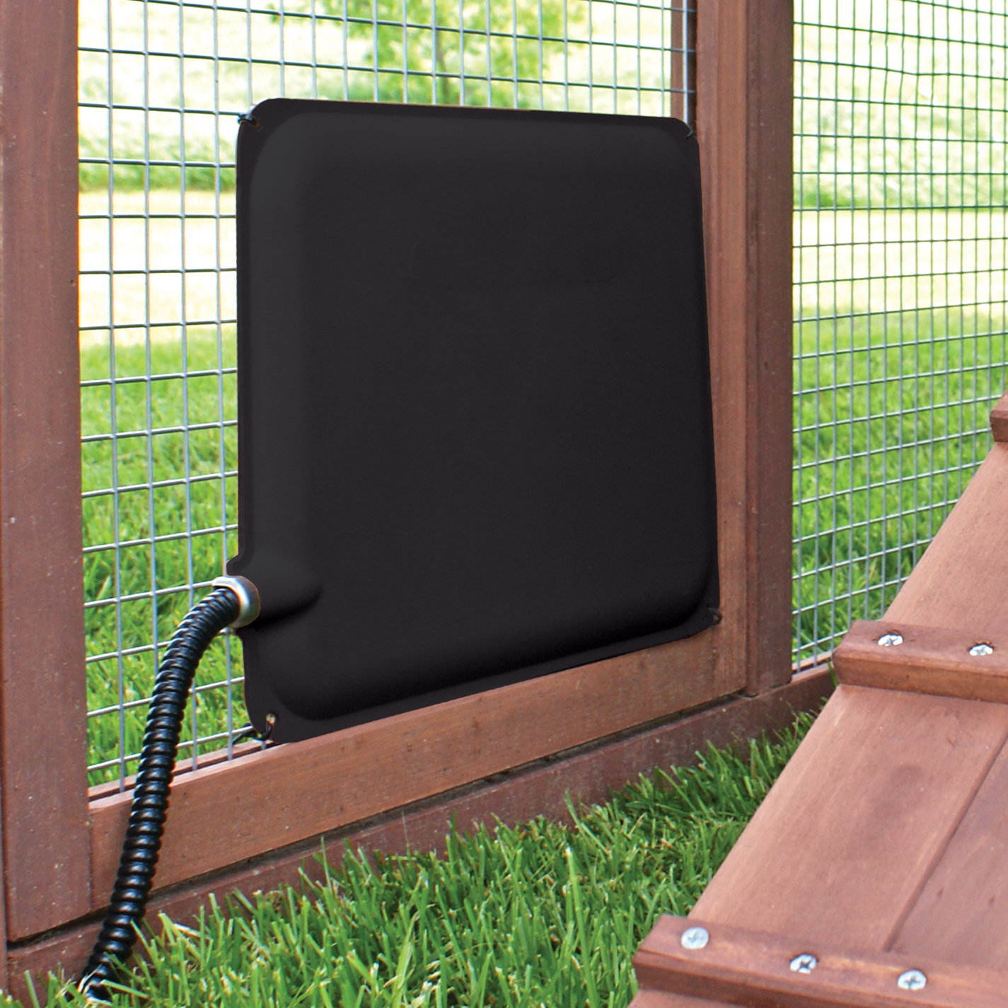 K&H Manufacturing Thermo-Chicken Heated Pad & Reviews | Wayfair