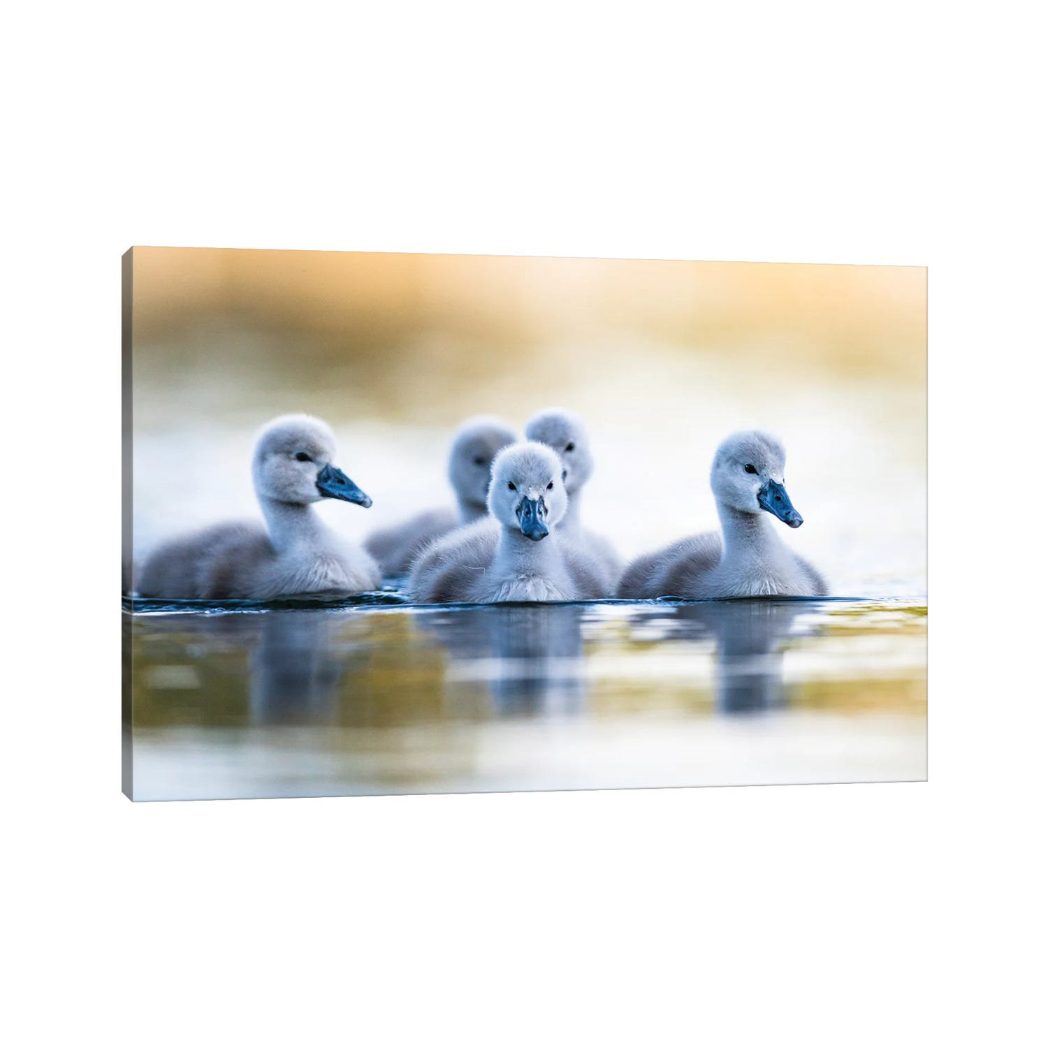 East Urban Home MTU103-Cygnets III - Wayfair Canada