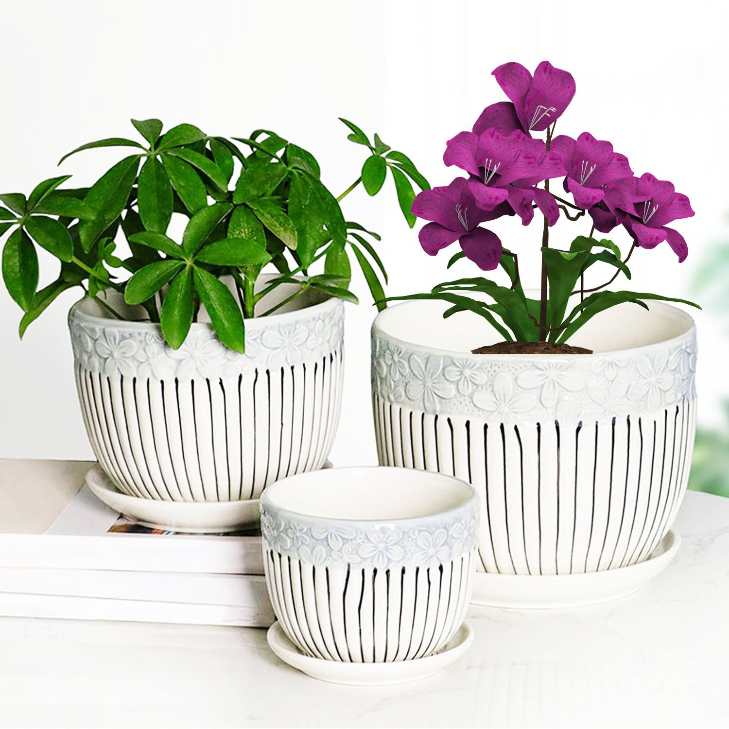 Lark Manor Ceramic Plant Pots Set of 3 - Wayfair Canada