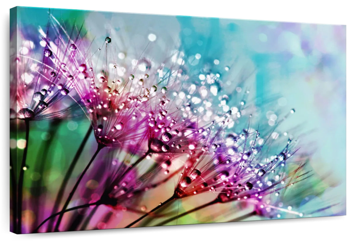 Lark Manor Harnek Colourful Dew - Wayfair Canada