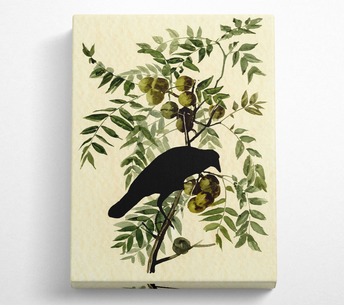 Marlow Home Co. Audubon American Crow Plate 156 - Print | Wayfair.co.uk