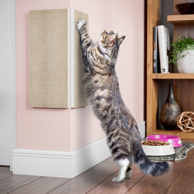 Tucker Murphy Pet™ Calisha Scratching Post & Reviews | Wayfair