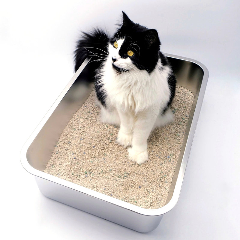 Tucker Murphy Pet™ Koreana Metal Standard Litter Box & Reviews | Wayfair