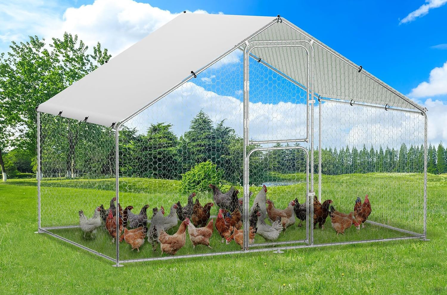 Tucker Murphy Pet™ Heavy Duty Outdoor Metal Chicken Coop, Large Walk-In ...
