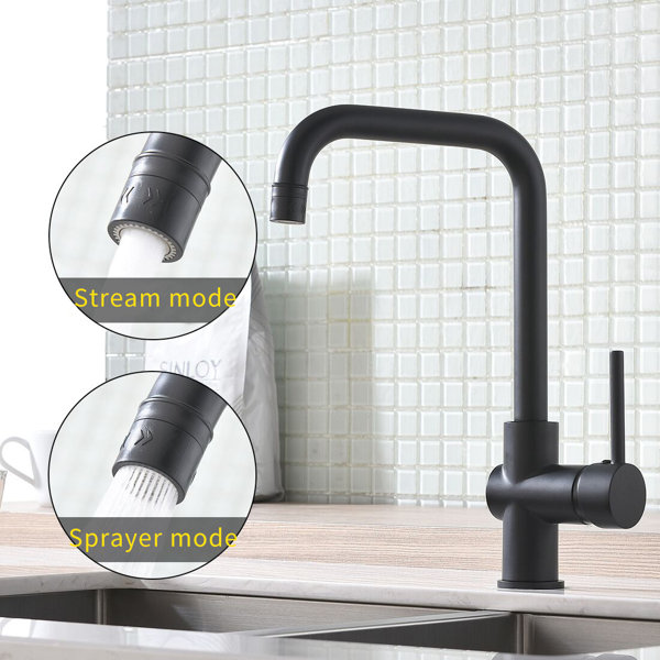 FLG Kitchen Faucet & Reviews | Wayfair