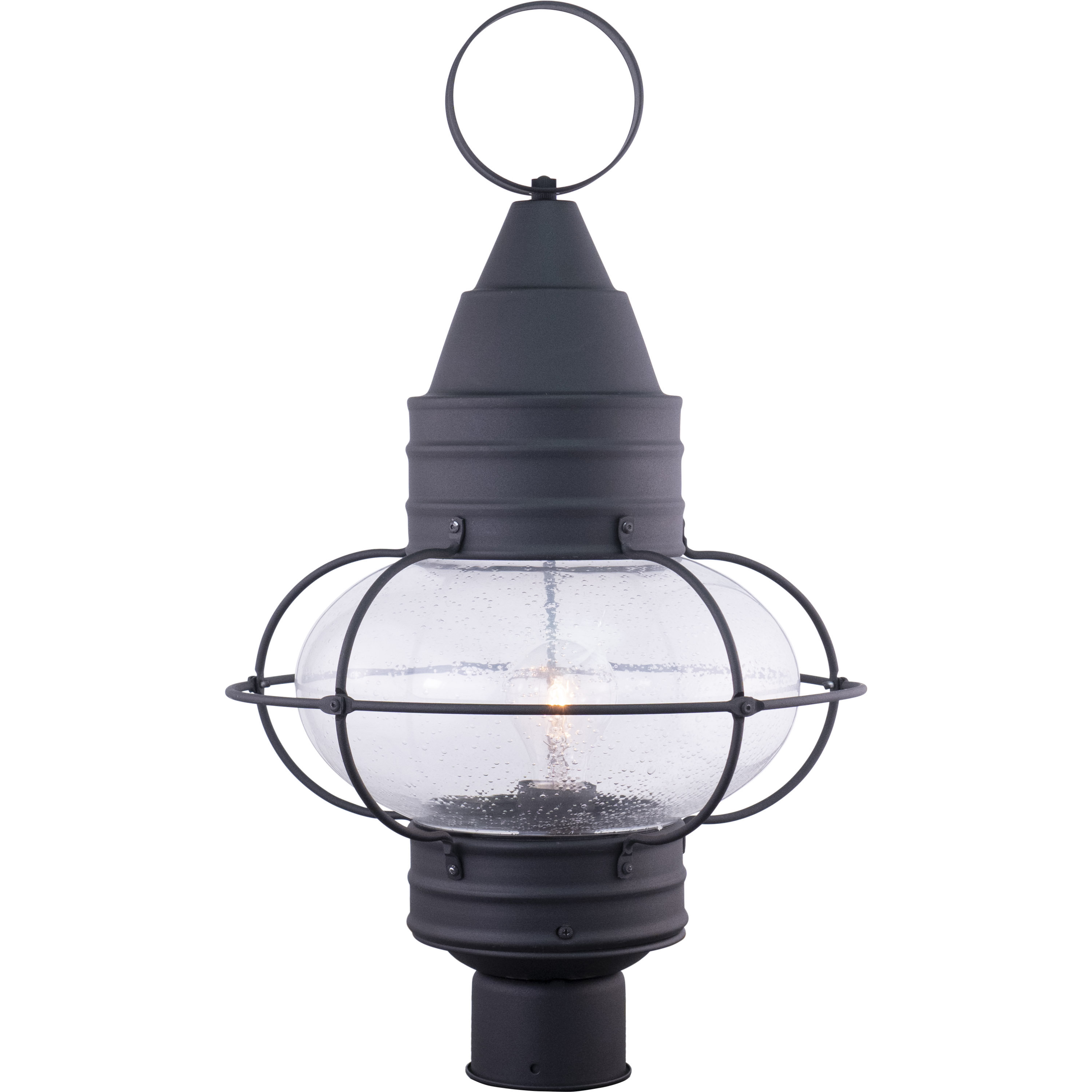 Breakwater Bay Chelston Seeded Lantern Head & Reviews | Wayfair