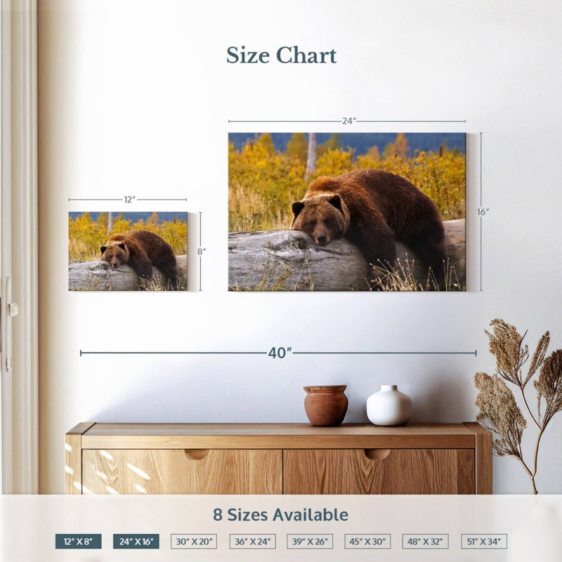 Ebern Designs Brampt Resting Grizzly Bear | Wayfair