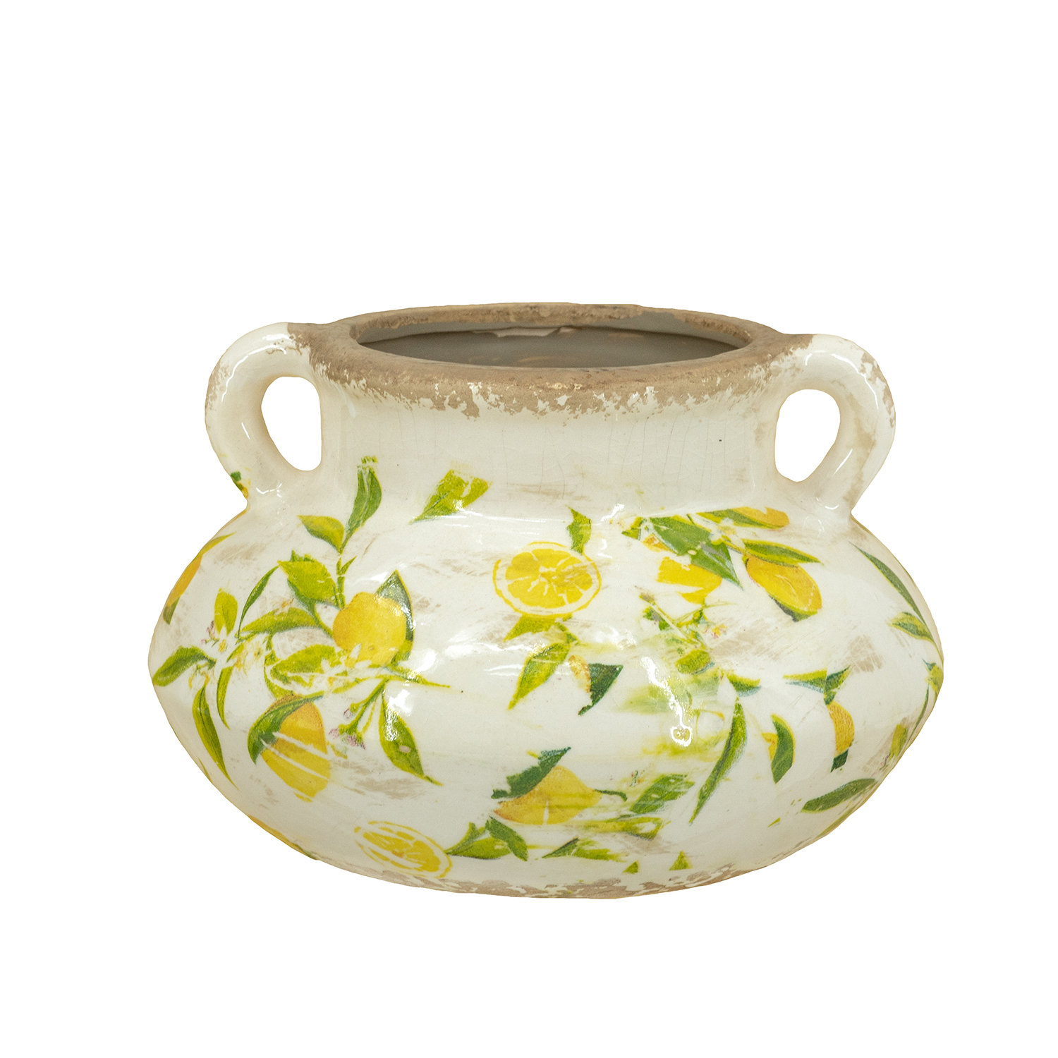 Ophelia & Co. Wide Ceramic Planter with Yellow Lemon and Green Leaf ...
