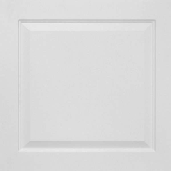 FromPlainToBeautifulInHours Raised Panel 2 Ft. X 2 Ft. Drop-In PVC ...