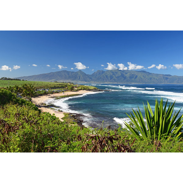 Highland Dunes Jaws Beach, Maui by Tracerouda - Wrapped Canvas ...