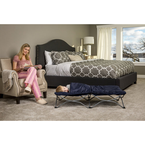 Regalo Deluxe My Cot & Reviews | Wayfair