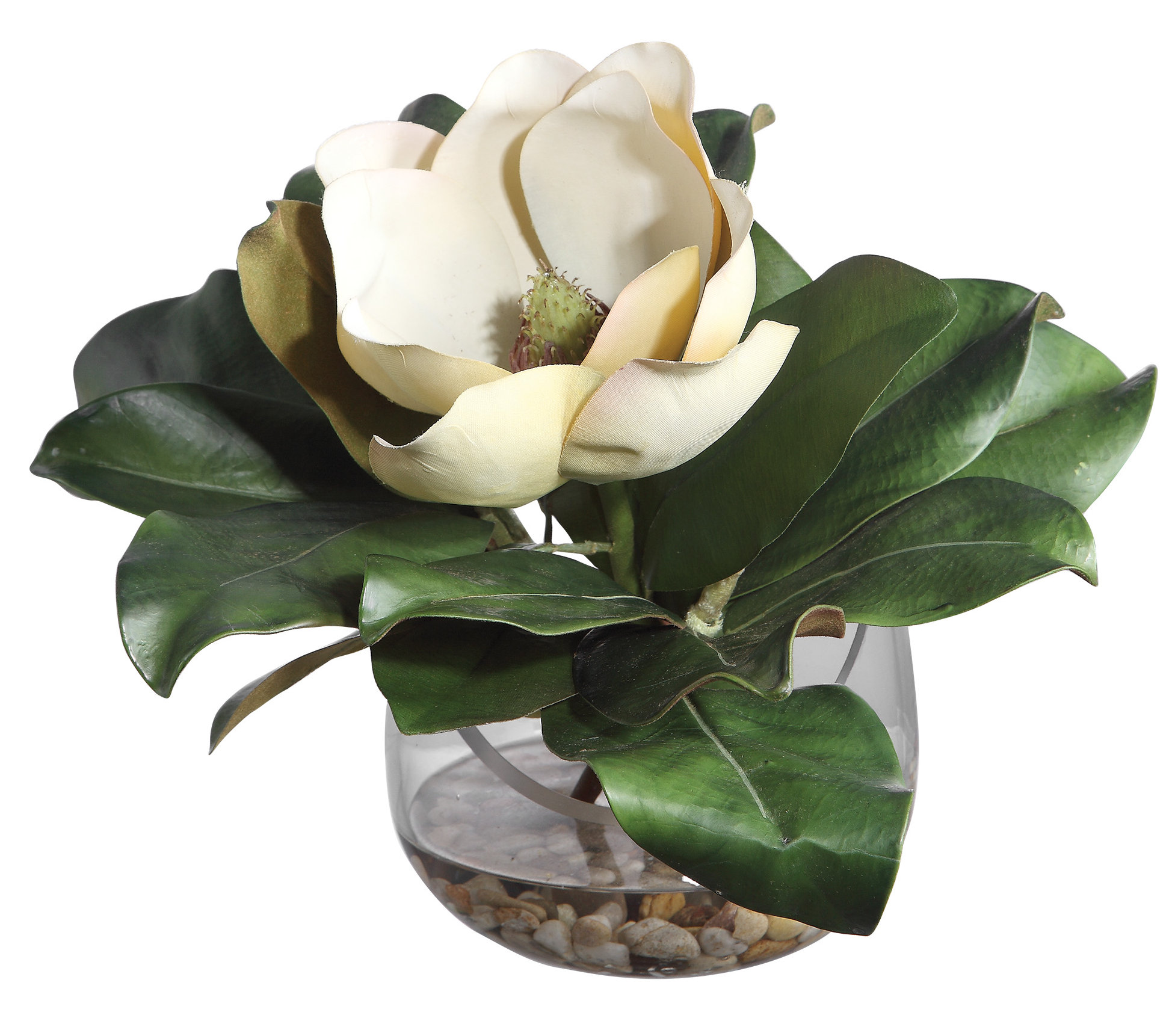 Gracie Oaks Silk Magnolia Centerpiece in Vase & Reviews | Wayfair