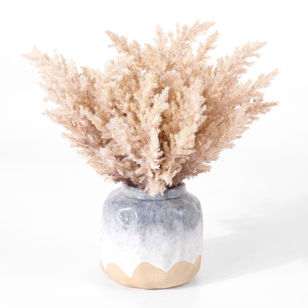 Primrue Corn Floral Arrangements in Pot & Reviews | Wayfair