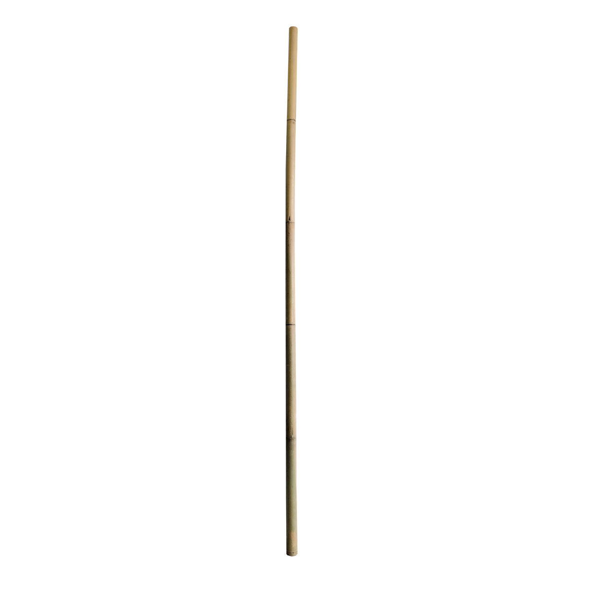 MGP Moso Bamboo Pole & Reviews | Wayfair