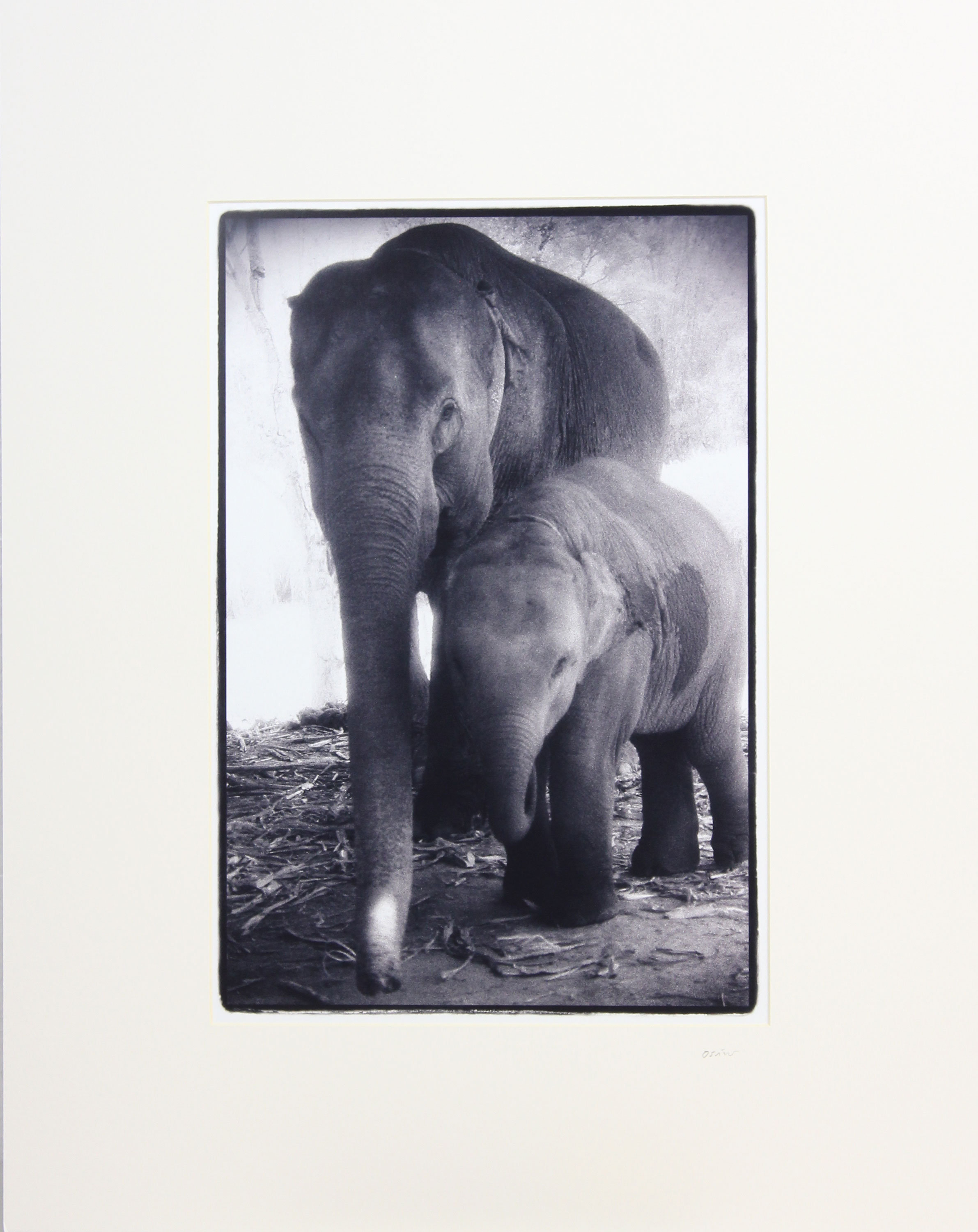 Latitude Run® Forever - Print on Paper | Wayfair