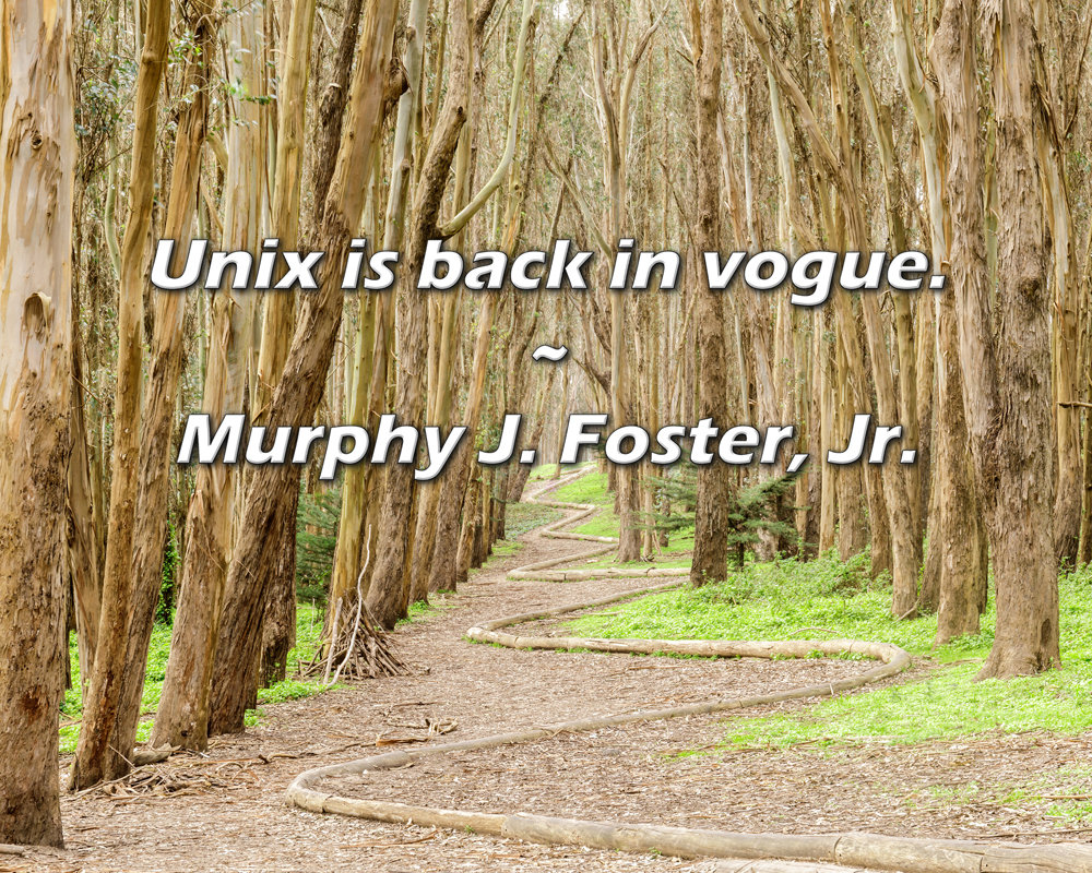 Ophelia & Co. Murphy J. Foster, Jr. Quote: Unix is back in vogue. | Wayfair