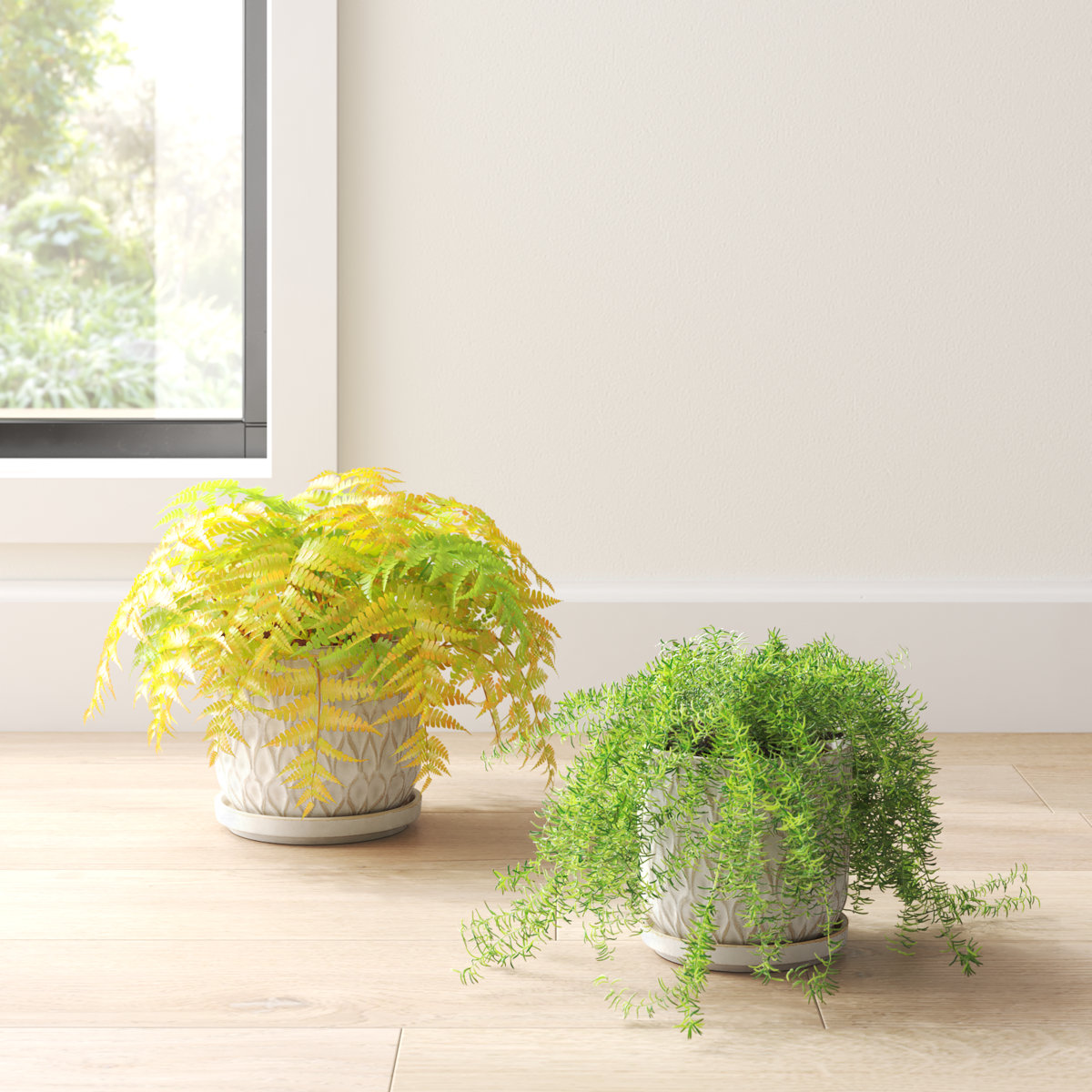 Joss & Main Neutral Textured Ceramic Saucer Planters Set of 2 & Reviews ...