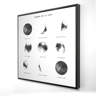 Begin Edition International Inc. Phases of the Moon - Minimalist ...