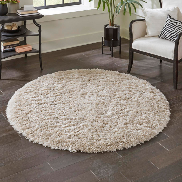 MarilynMonroe Blonde Area Rug & Reviews - Wayfair Canada