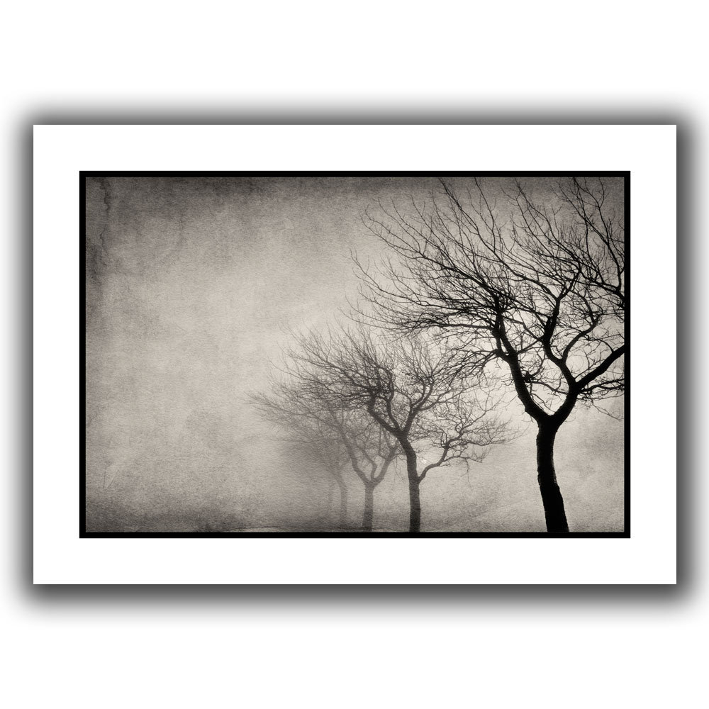 ArtWall 'Early Morning Sepia' by Cora Niele Graphic Art on Rolled ...
