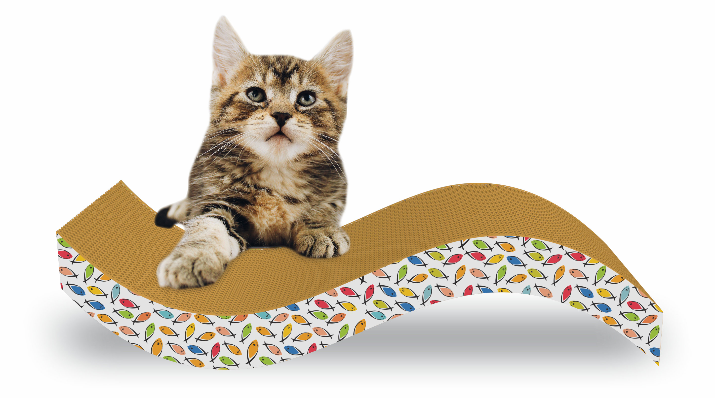 Tucker Murphy Pet™ Shallow Wave Scratching Board | Wayfair