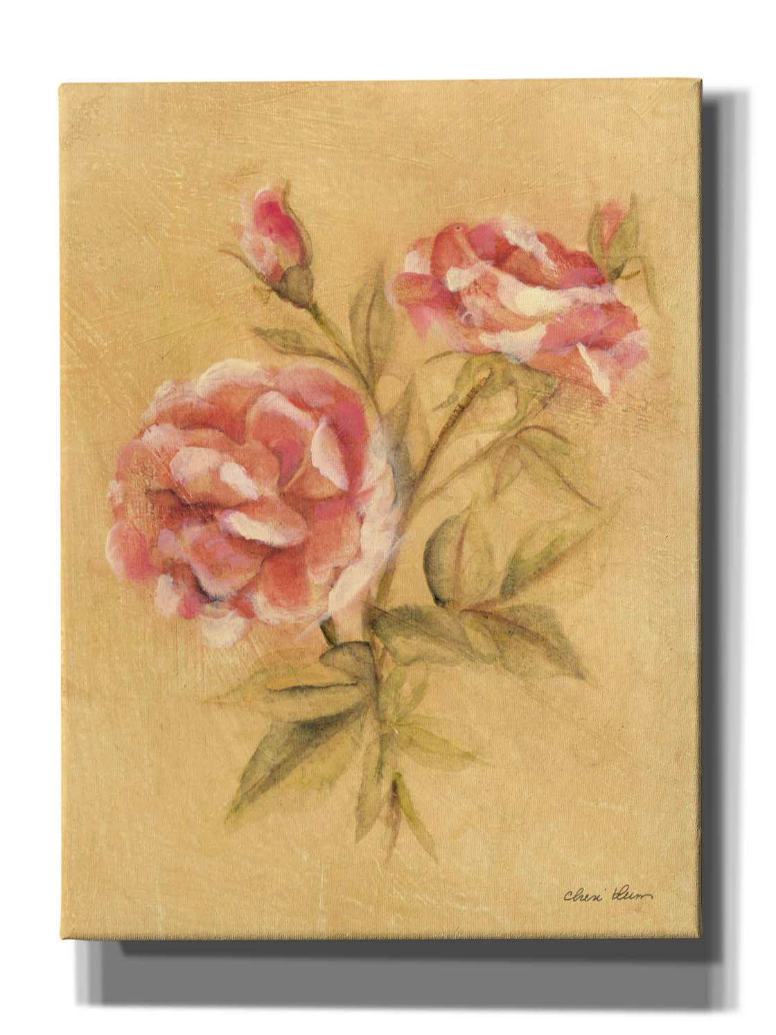 August Grove® Rose 1' by Cheri Blum Canvas Wall Art | Wayfair