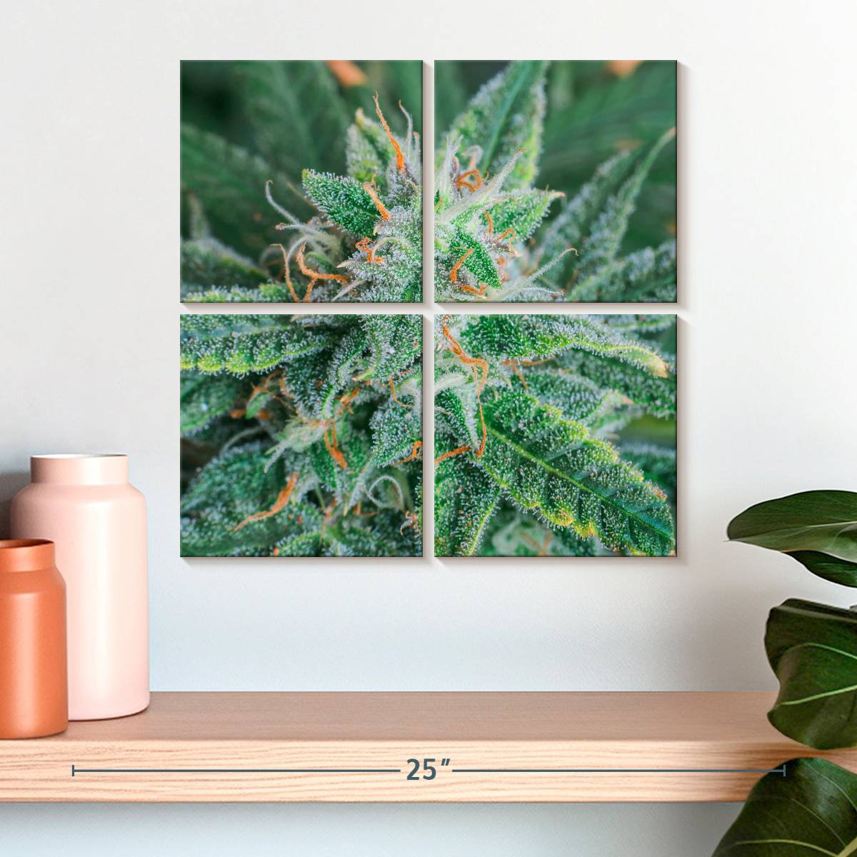 Elephant Stock Cannabis Blossom - Wayfair Canada