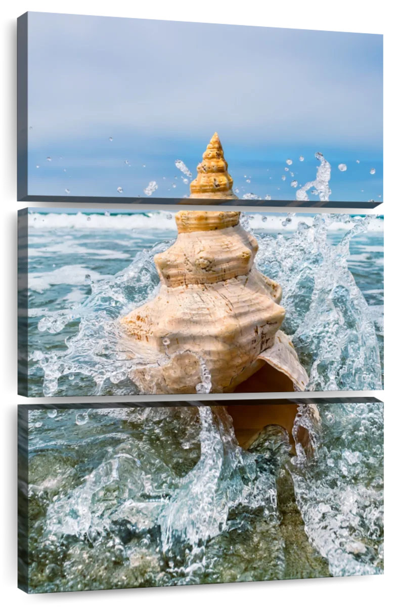 Highland Dunes Ocean Conch Shell | Wayfair