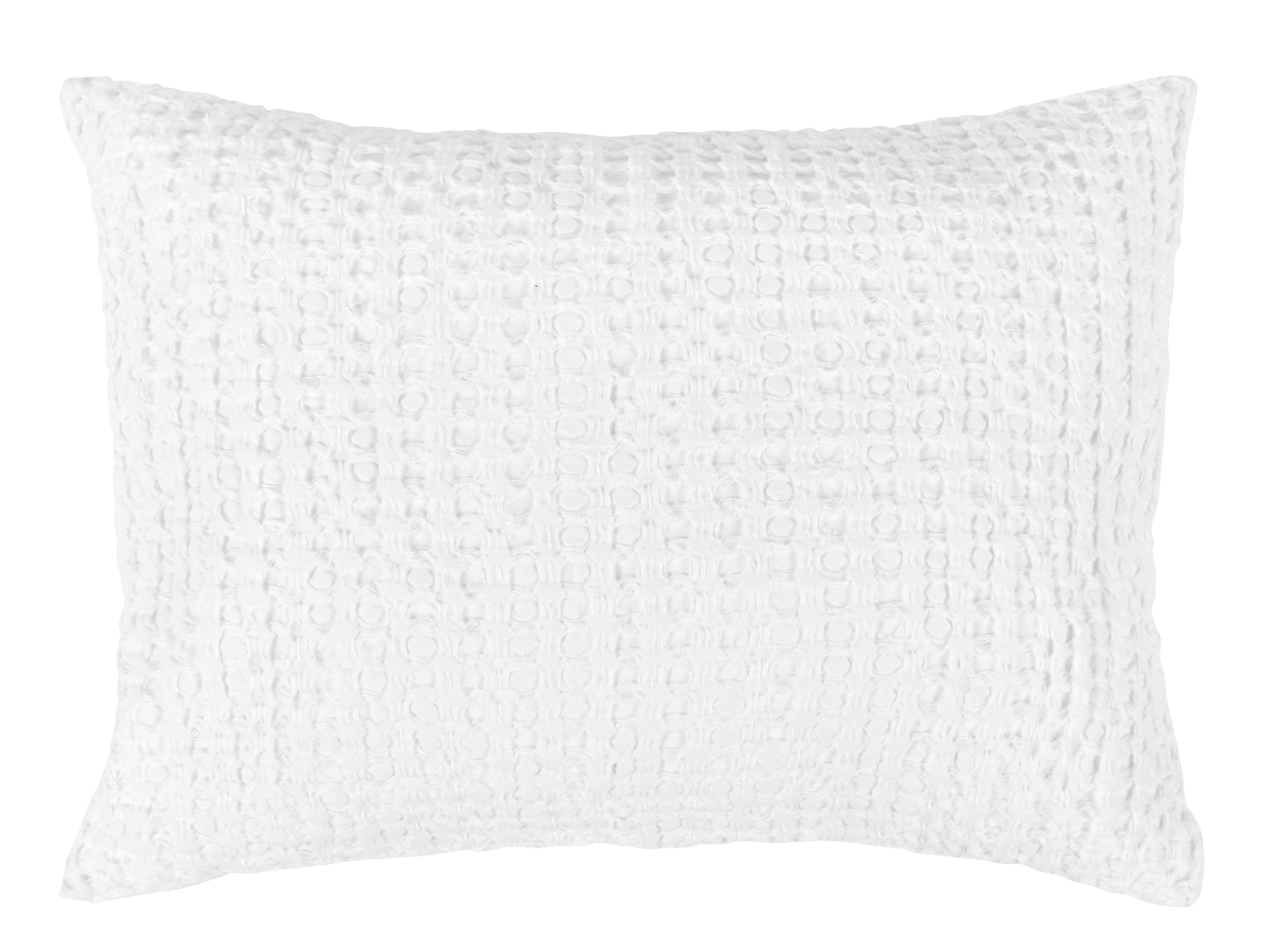 Birch Lane™ Vidal Natural Sham | Wayfair