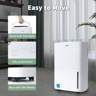 Uhome 150 Pints Energy Star Dehumidifier for Rooms up to 14000 Cubic ...