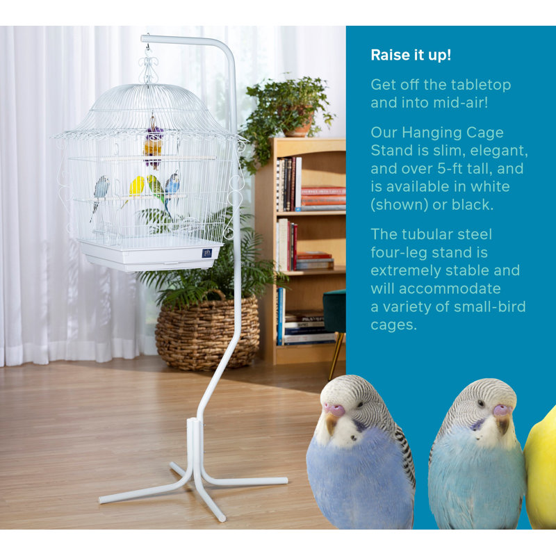 Archie & Oscar™ Jaden 62" Steel Victorian Top Hanging Bird Cage Stand ...