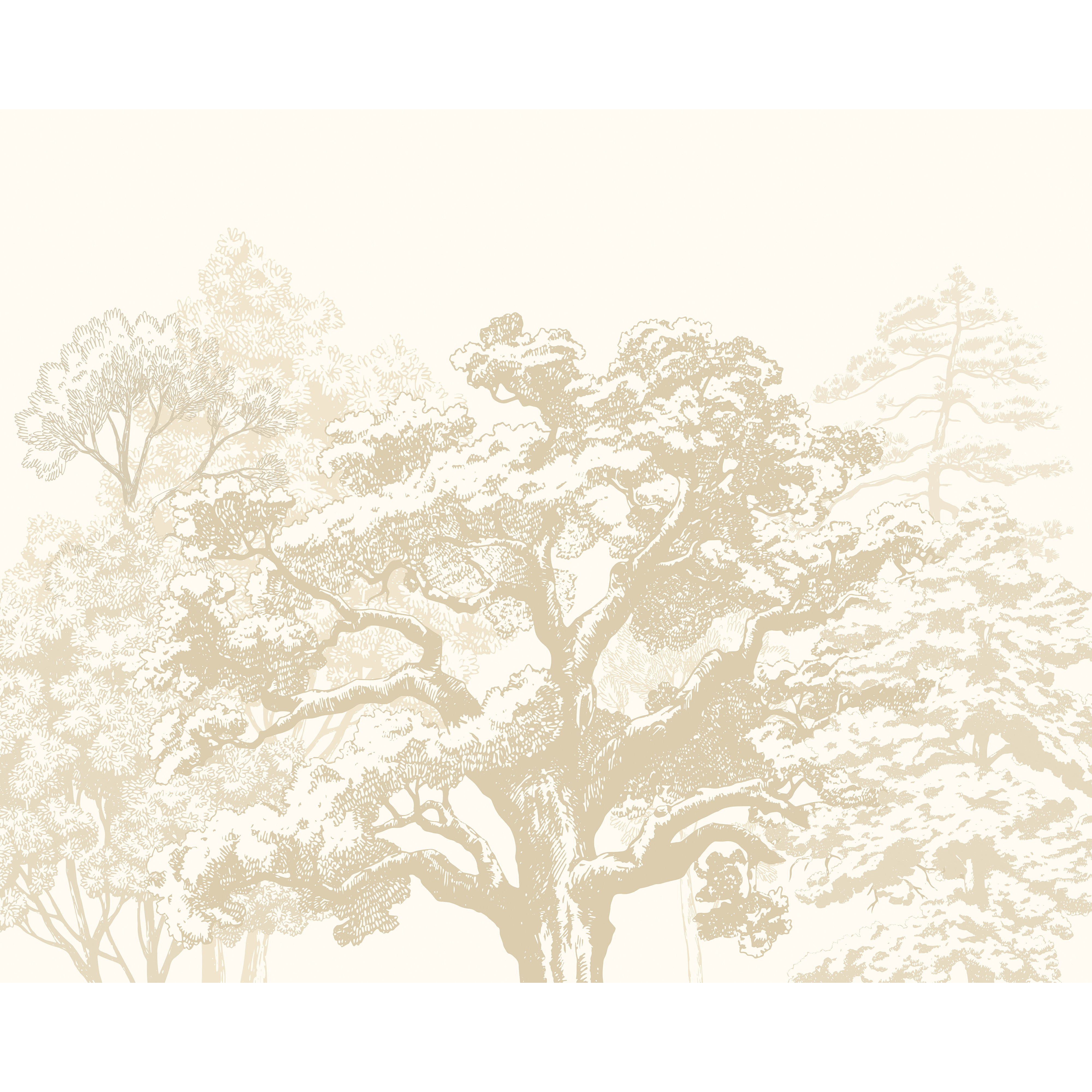 ClassicLiving 2.4m x 3m Wallpaper Roll | Wayfair.ie