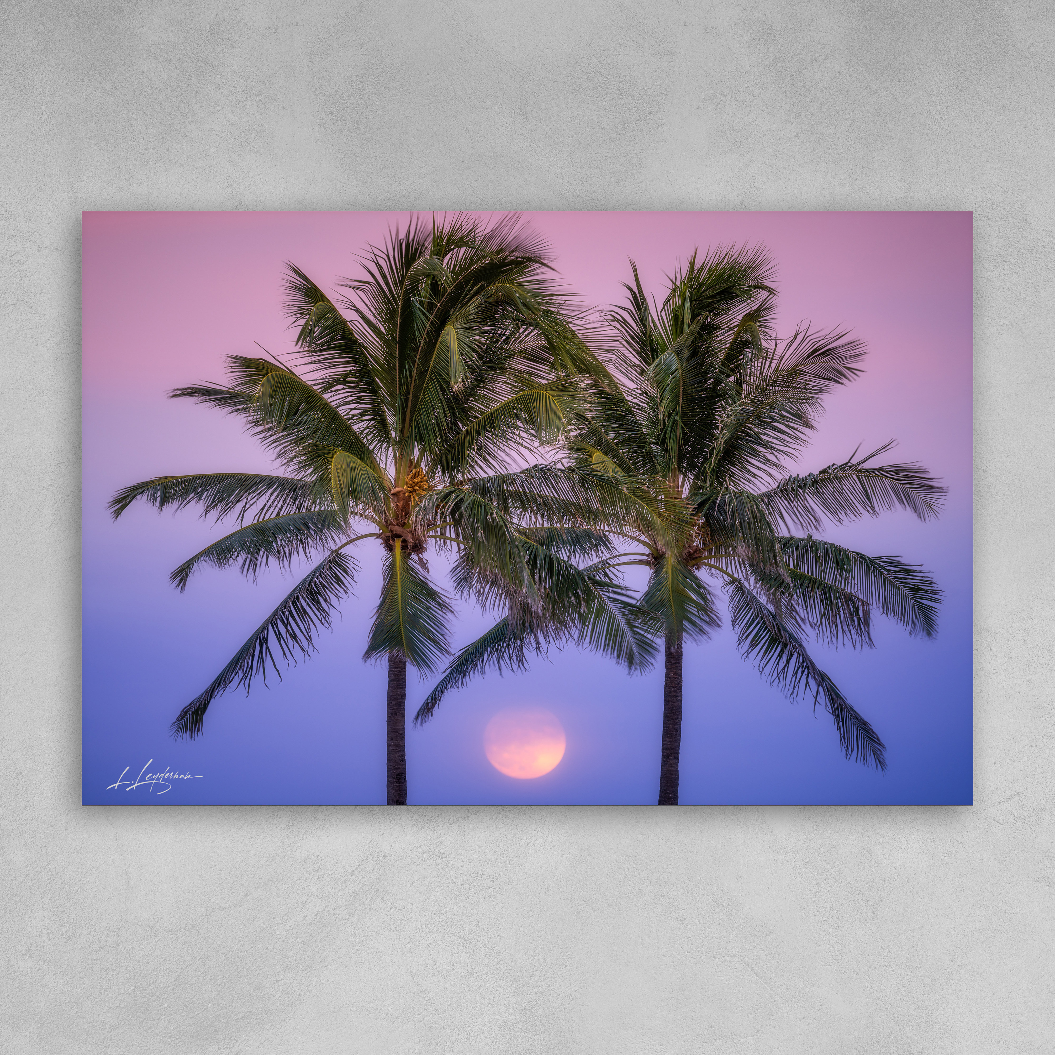 East Urban Home Palm Trees and Lunar Dreams by Lawrence Leyderman ...