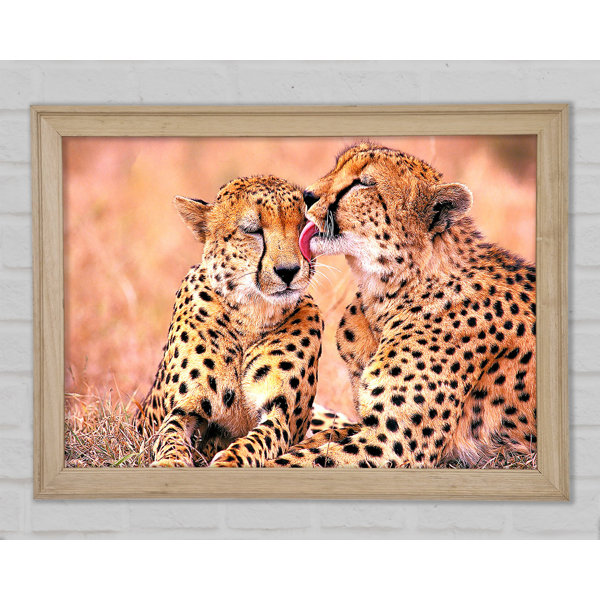 Brayden Studio South African Cheetahs - Single Picture Frame Print ...
