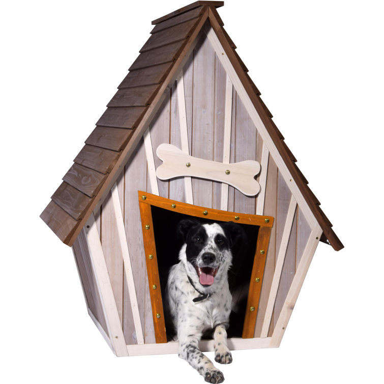 Archie & Oscar Crowson Wood Portable Dog House | Wayfair.co.uk