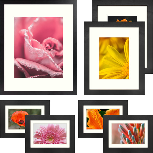 Picture Frames You'll Love - Wayfair Canada