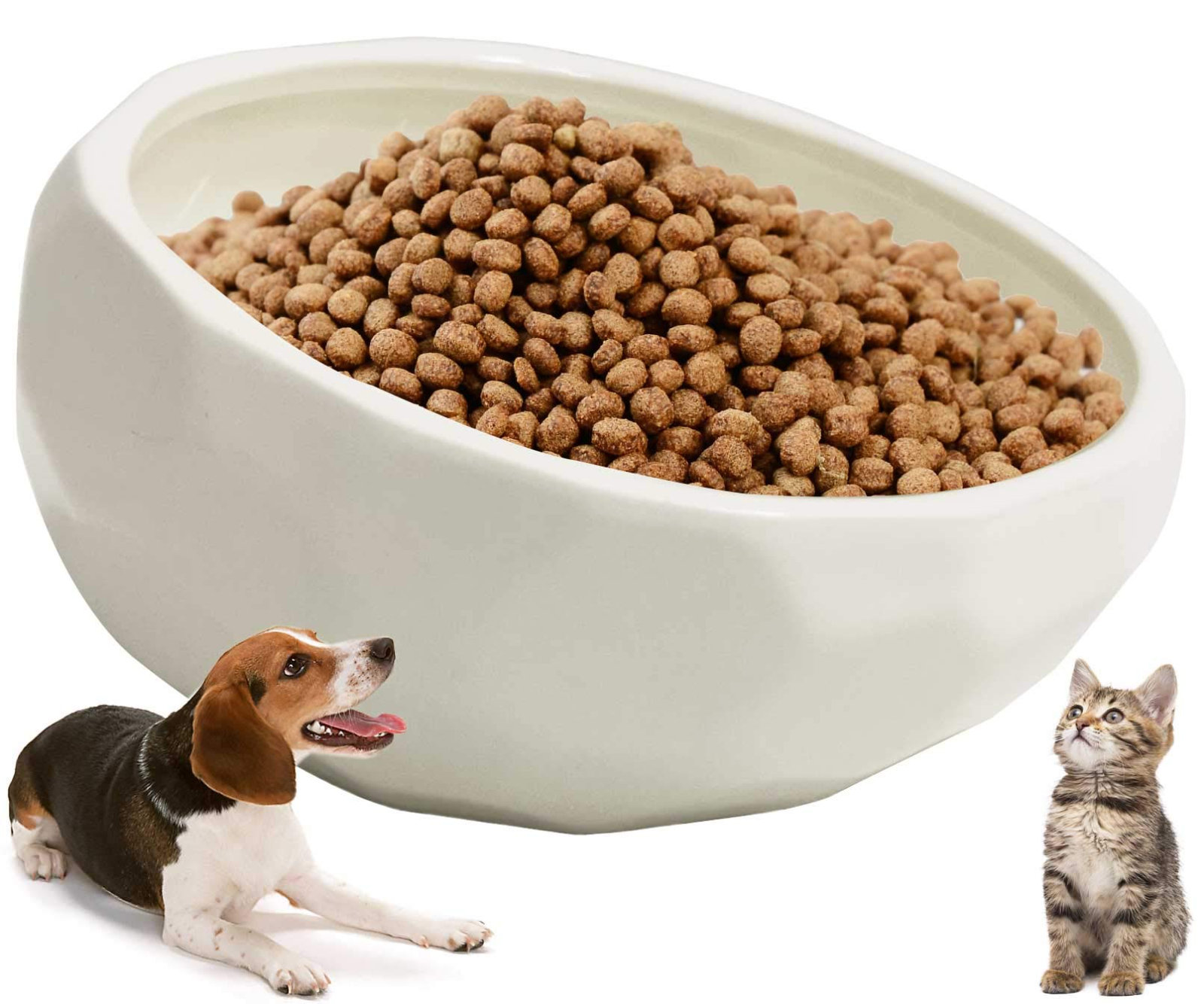 Bisiot Tilted Ceramic Dog Bowl Tilted 15 ° Cat Food Water Bowl Dish ...
