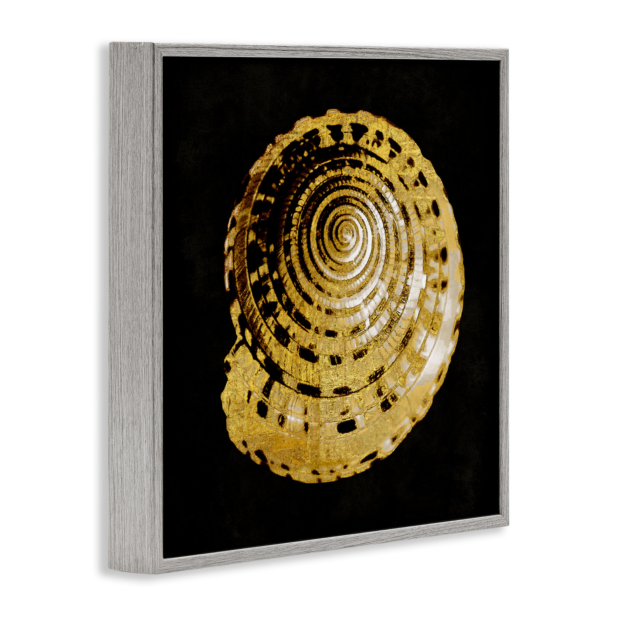 Ebern Designs Gold Spiral Shell Framed Giclee Art by Caroline Kelly ...