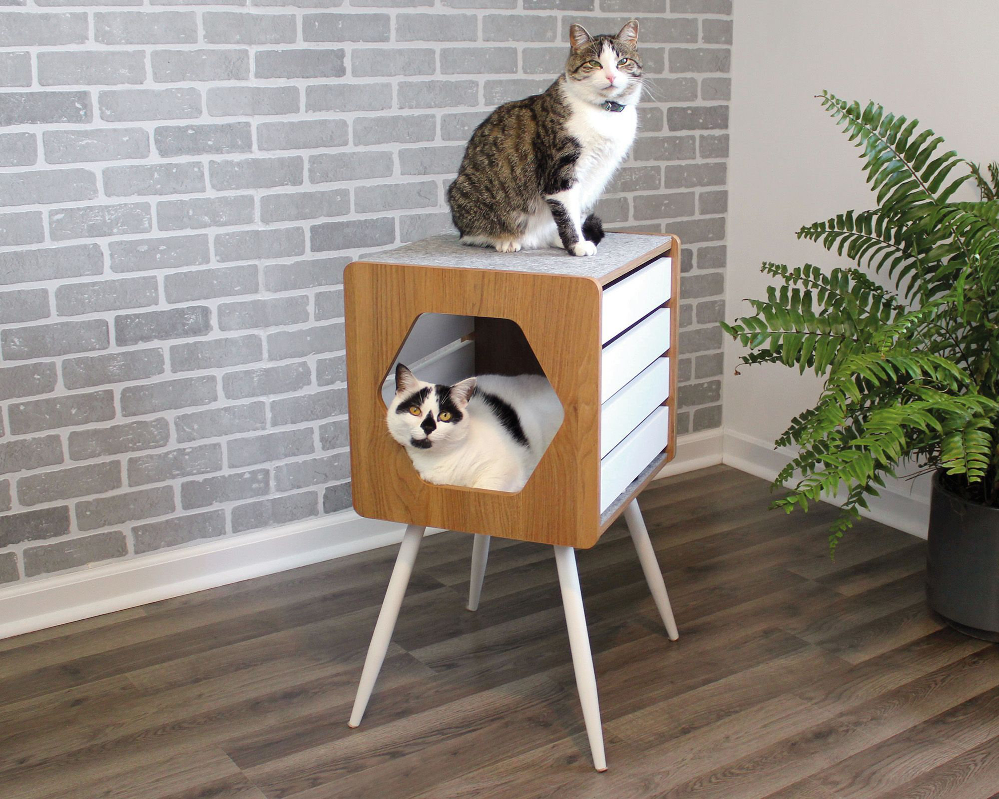 Tucker Murphy Pet™ Patches Cat Nester 3a | Wayfair