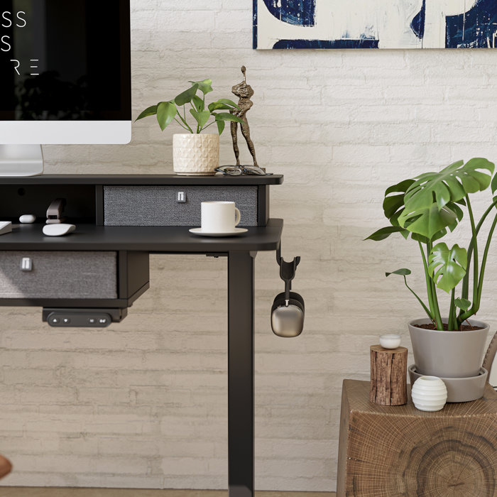 Inbox Zero Euri Desk & Reviews | Wayfair