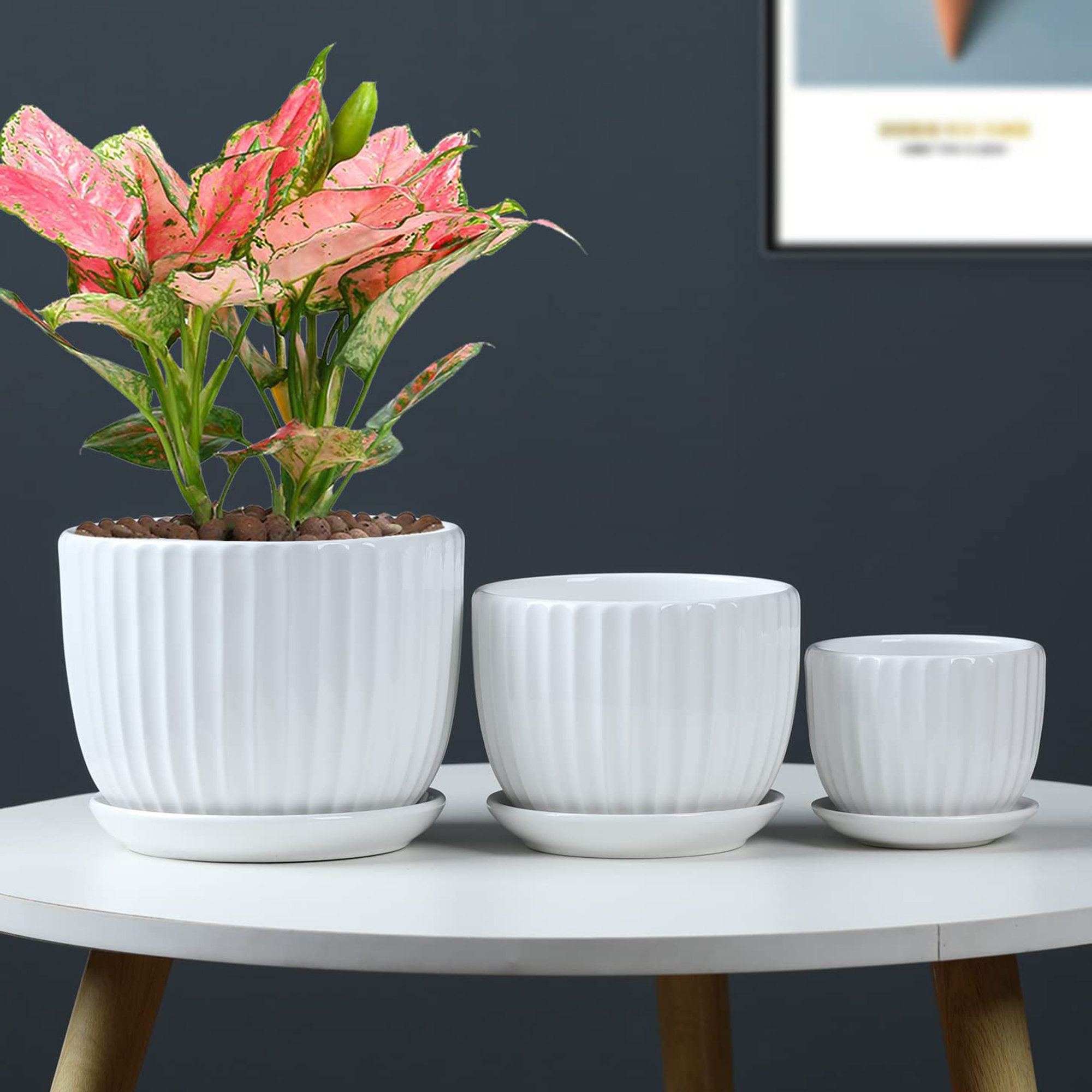 Red Barrel Studio® Ceramic Texture Flower Planter Set of 3 | Wayfair