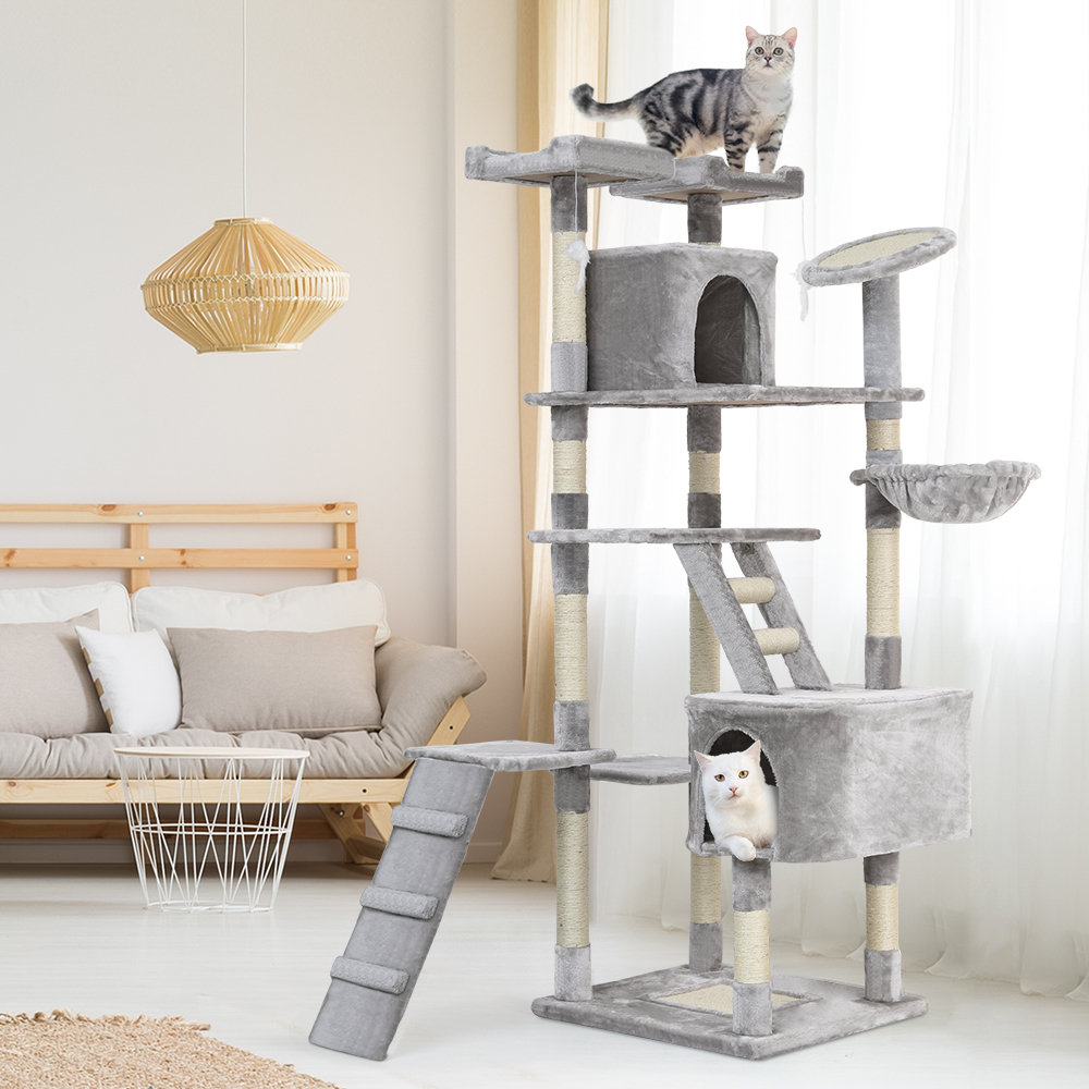 Archie & Oscar™ Cat Tree With Toy, Cat Tower Condo For Indoor Cats, Cat ...