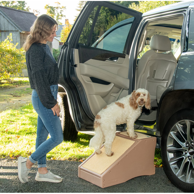 Pet Gear Stramp Stair and Ramp Combination for Dogs/Cats & Reviews ...