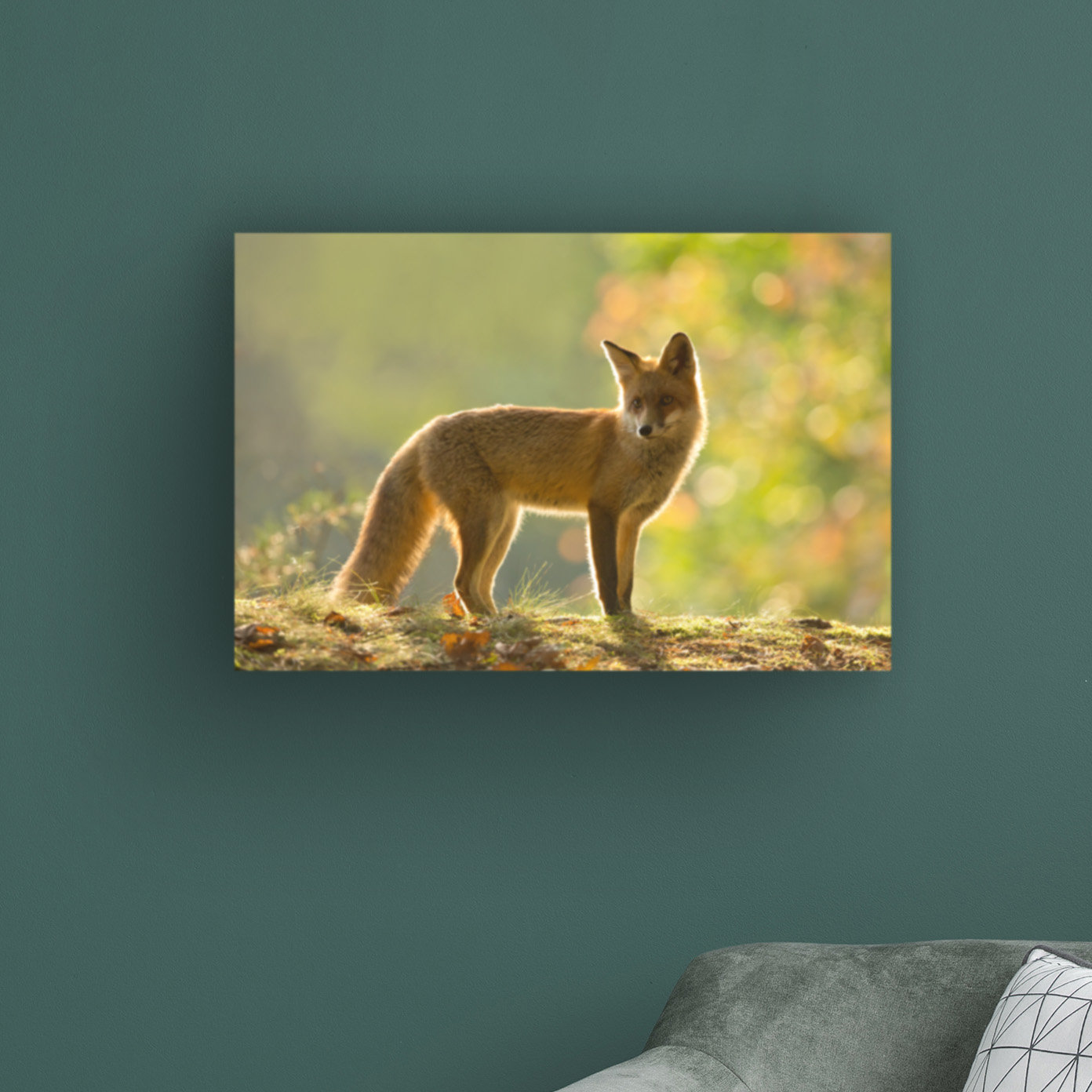 Millwood Pines Red Fox 2 - Wrapped Canvas Graphic Art - Wayfair Canada