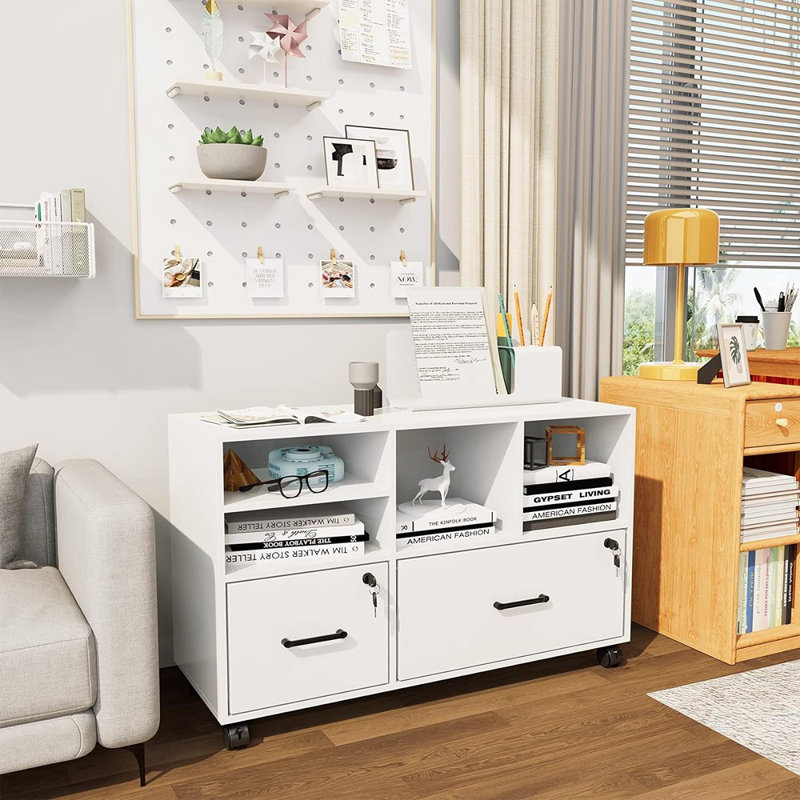 Hokku Designs Ashira 2-Drawer Mobile Lateral Filing Cabinet & Reviews ...