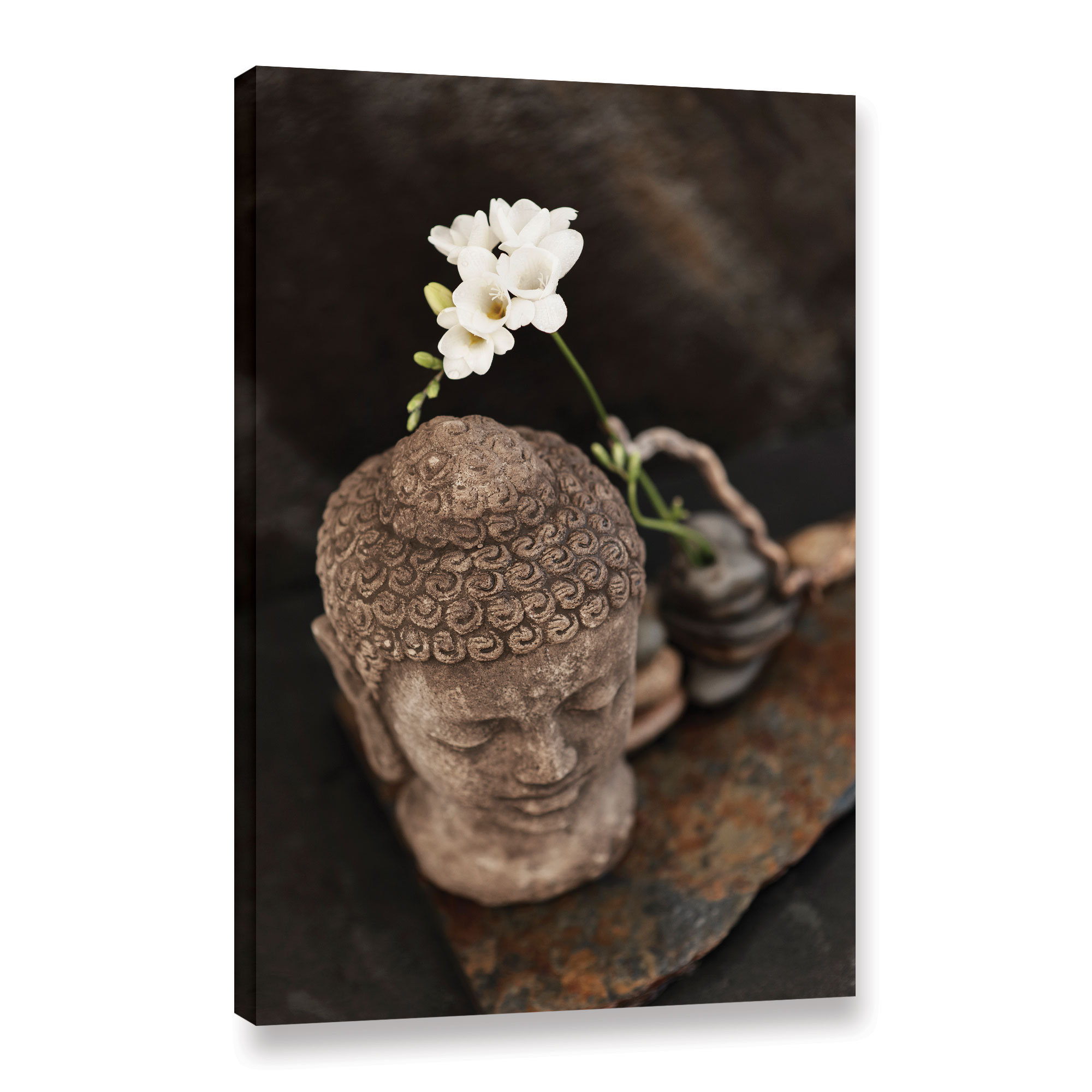 Bungalow Rose 'Buddha Elements' by Elena Ray Photographic Print on ...