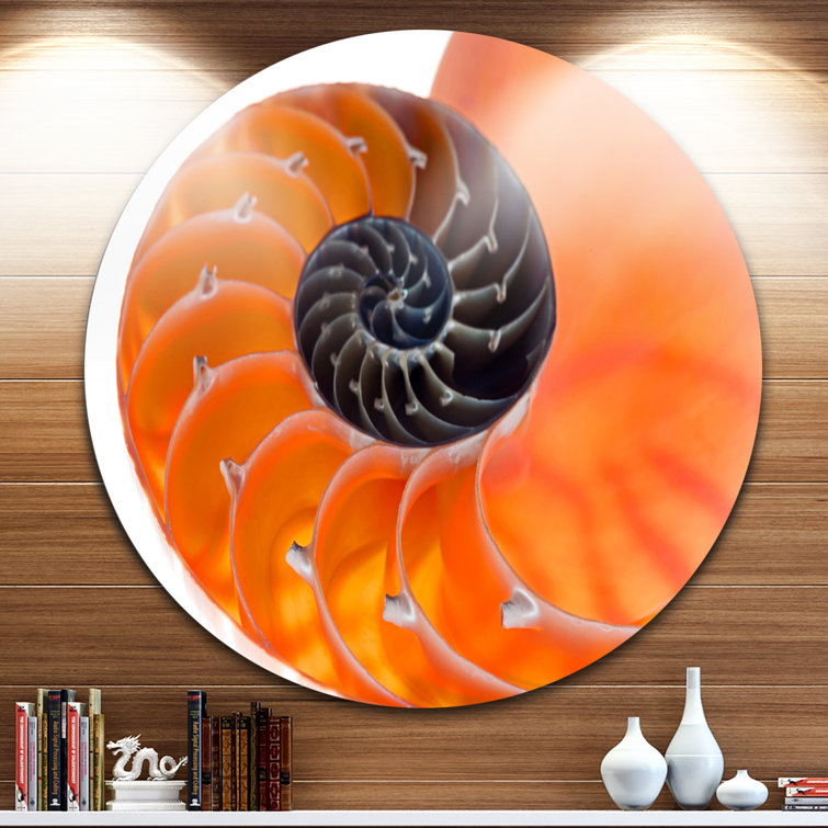 DesignArt " Orange Nautilus Shell " - Wayfair Canada
